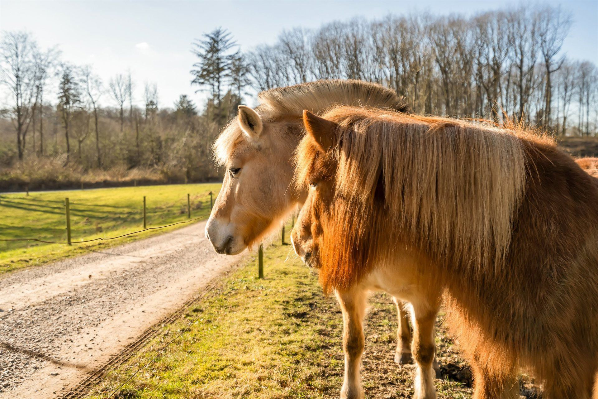 Netop kommet til salg: Melskovvej 9, Tørsbøl en af Gråstens dyreste adresser | VORES Gråsten